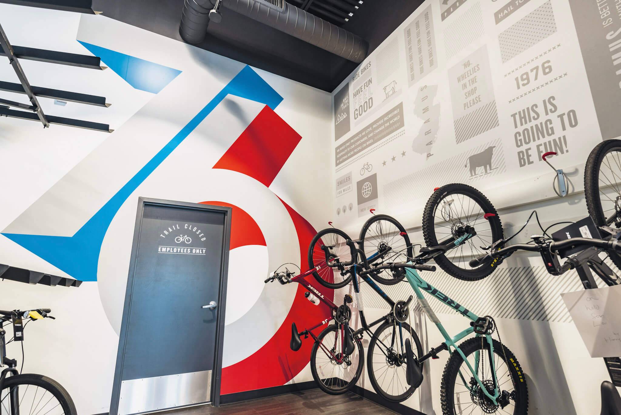 Trek - Sandy Alexander